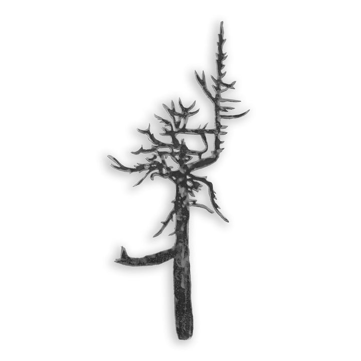 Ghost Tree Collection – BandonDunesGolfShop.com